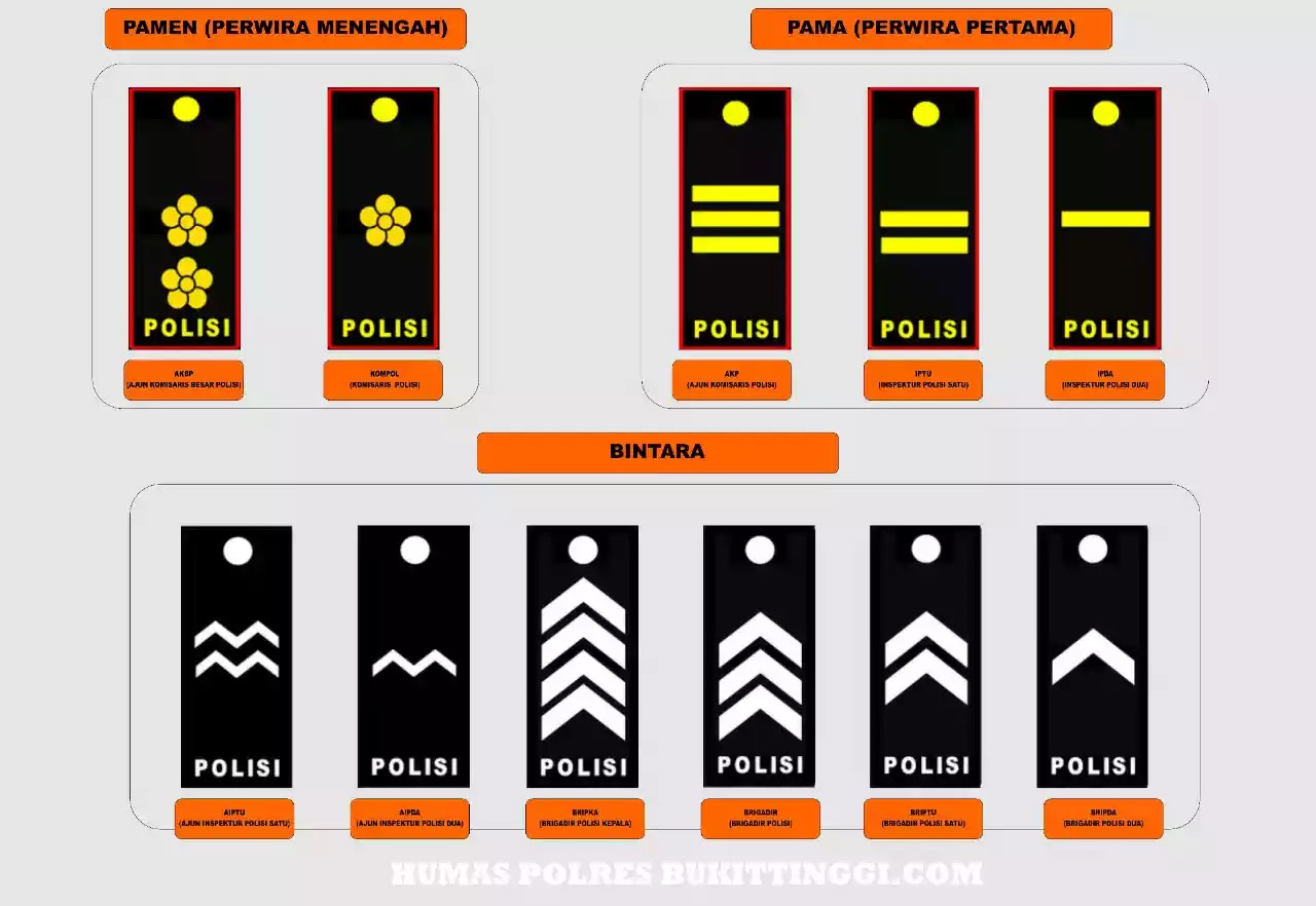 Mau Masuk Akpol? Ketahui Urutan Pangkat Polisi dari Tertinggi Sampai ...